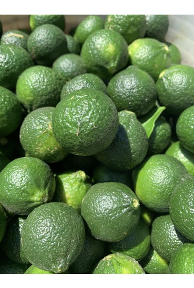 Bodrum Yadigarı Yeşil Bodrum Mandalini (3 Kg) Satsuma