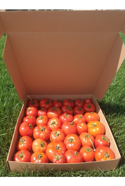 Zsk Bostan Bursa Sofralık Domates 5 kg
