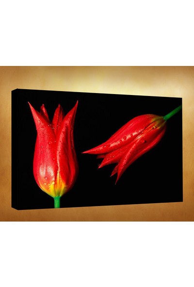 Kanvas - 50X70 cm - Çiçek Resimleri - C271