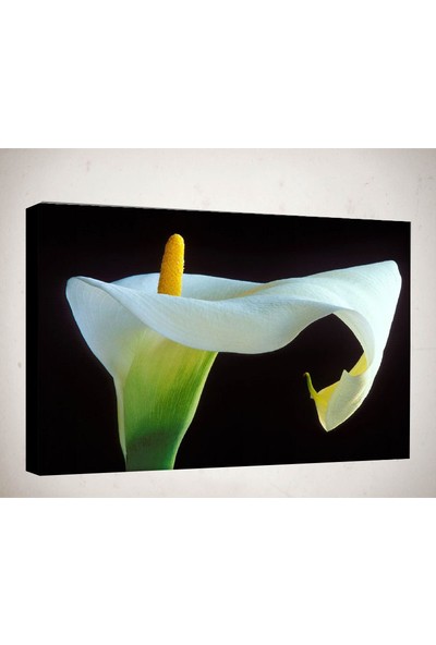 Kanvas - 35X50 cm - Çiçek Resimleri - C114