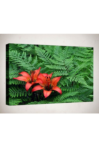 Kanvas - 35X50 cm - Çiçek Resimleri - C280