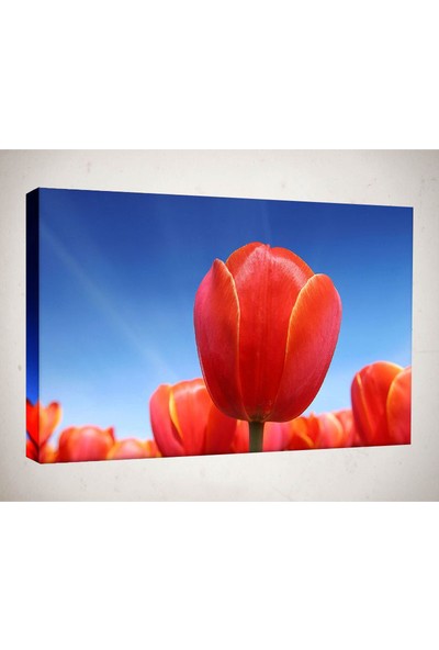 Kanvas - 40X60 cm - Çiçek Resimleri - C261 Kanvas - 40X60 cm - Çiçek Resimleri - C261