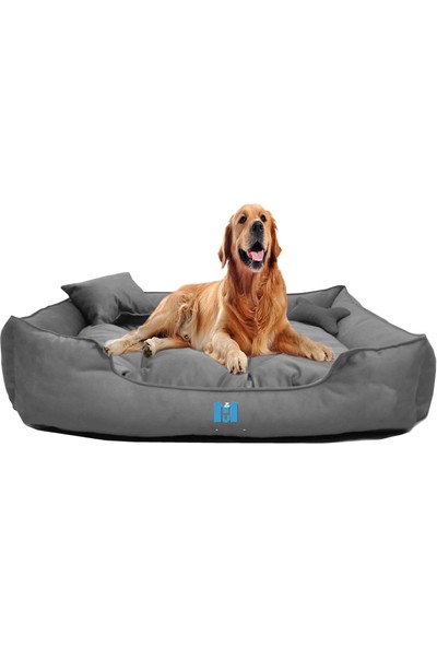 Mavi Vitrin Yıkanabilir Soft Büyük Irk Canlı Minderi Mavi Vitrin Yıkanabilir Soft Büyük Irk Canlı Minderi