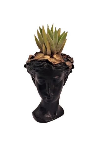 Tzcn Helen Beton Saksı 3'lü Set Saksı Çiçekli Saksı