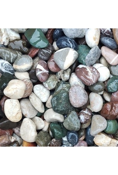 Kozalak Akvaryum ve Dekor Amaçlı Kullanılacak Minik Çakıl Taşlar 500 Gram Kozalak Akvaryum ve Dekor Amaçlı Kullanılacak Minik Çakıl Taşlar 500 Gram