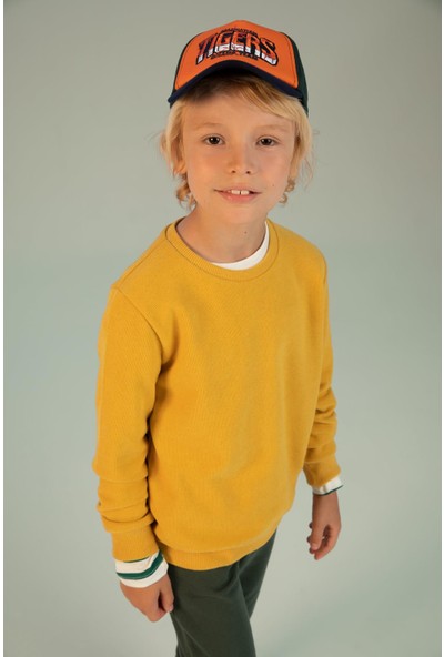 DeFacto Erkek Çocuk Regular Fit Okula Dönüş Bisiklet Yaka Selanik Kumaş Sweatshirt L0311A622AU DeFacto Erkek Çocuk Regular Fit Okula Dönüş Bisiklet Yaka Selanik Kumaş Sweatshirt L0311A622AU