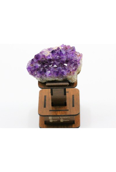 My Takı Ağacım FH Ametist Taşı Ahşaplı Standlı