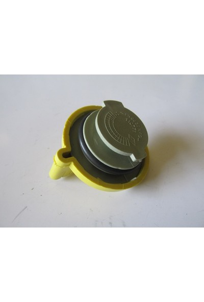 SH Renault Scenıc- 00/03; Motor Yağ Kapağı Benzinli (1,6 16V/2,0 16V) 52,40MM (Sarı) SH Renault Scenıc- 00/03; Motor Yağ Kapağı Benzinli (1,6 16V/2,0 16V) 52,40MM (Sarı)