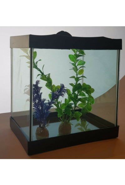 Salıncak Kapaklı Cam Akvaryum 20 cm × 20 cm (Full Paket) Süzgeç Dahil Salıncak Kapaklı Cam Akvaryum 20 cm × 20 cm (Full Paket) Süzgeç Dahil