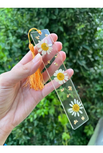 Hifaa Hediyelik Gerçek Papatya Kitap Ayracı