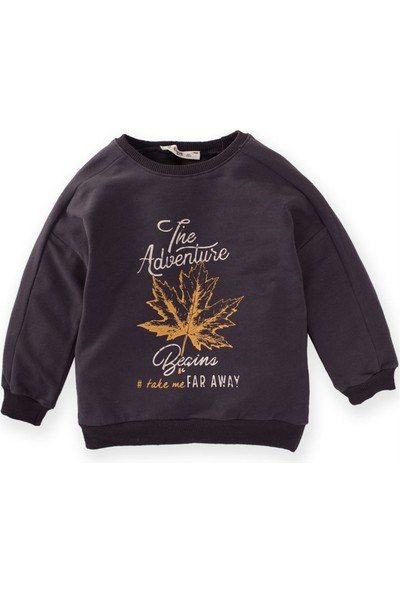 Cigit Yaprak Baskılı Kolu Parçalı Swatshirt 3-9 Yaş Antrasit Cigit Yaprak Baskılı Kolu Parçalı Swatshirt 3-9 Yaş Antrasit