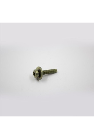OEM Subap Kapak Vidası Dw8 0250.70 OEM Subap Kapak Vidası Dw8 0250.70