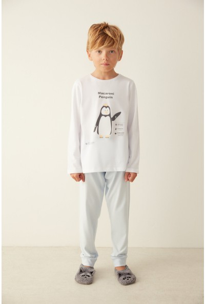 Penti Çok Renkli U.macaroni Penguin Pijama Takımı Penti Çok Renkli U.macaroni Penguin Pijama Takımı