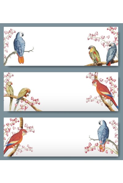 Tellgraf Reklam Hizmetleri Kuşlu Okul Defter Kitap Etiketi Stickerı 3 x 6 cm 24 Adet Tellgraf Reklam Hizmetleri Kuşlu Okul Defter Kitap Etiketi Stickerı 3 x 6 cm 24 Adet