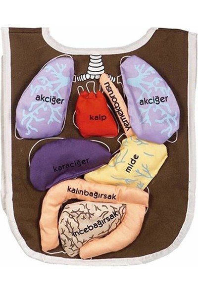 Anadolu Oyuncak AND-5011 Organ Önlüğü Anadolu Oyuncak AND-5011 Organ Önlüğü
