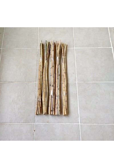 Şerife Nur Fide ve Saksı Bitkileri Için Destek Çubuğu 60 cm (10 Adet) Şerife Nur Fide ve Saksı Bitkileri Için Destek Çubuğu 60 cm (10 Adet)