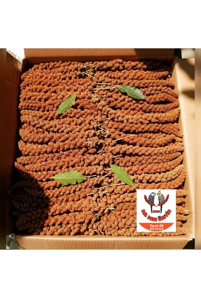 Kızıl Dal Darı Protein Deposu Kuş Yemi 1 kg 2022 Yeni Mahsül Kızıl Dal Darı Protein Deposu Kuş Yemi 1 kg 2022 Yeni Mahsül