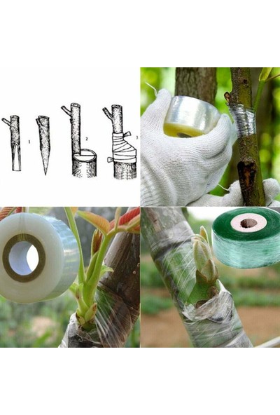 MSO Teknoloji Bahçe Fidan Fide Aşı Elastik Streç Şeffaf Bant