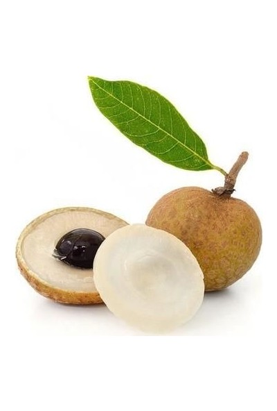 Tropik Sepeti Longan - 100 gr