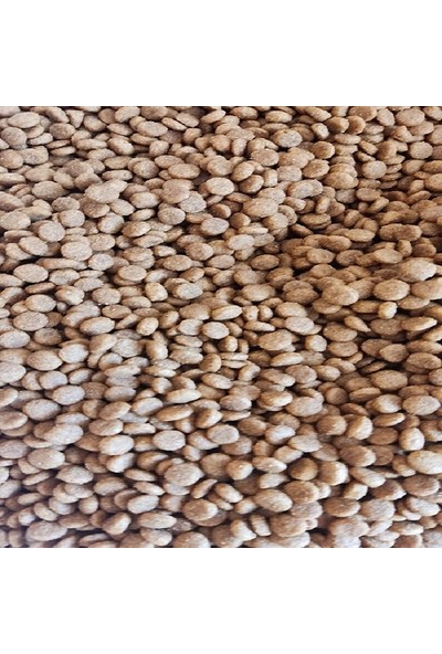 Özkan Yavru Kedi Maması Tavuk Etli Paw Paw Dolumu 3 kg Özkan Yavru Kedi Maması Tavuk Etli Paw Paw Dolumu 3 kg