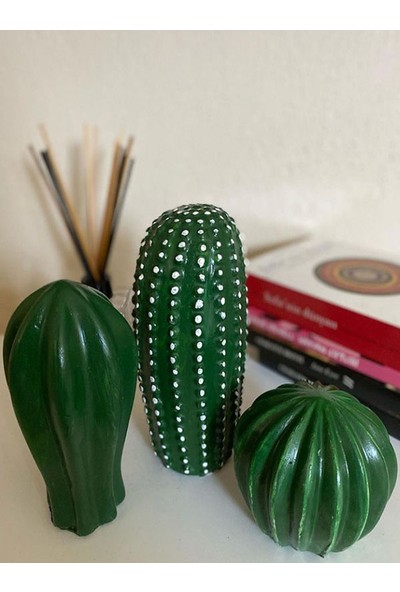 Zevki Senin Üçlü Dekoratif Kaktüs Biblo Takımı Zevki Senin Üçlü Dekoratif Kaktüs Biblo Takımı