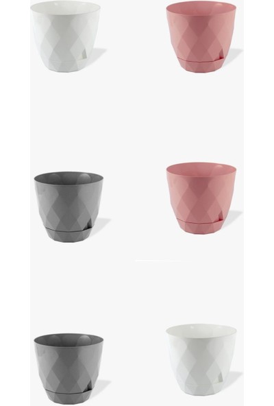 Mero 6 Adet Renkli Yakamoz Saksı Ev Bahçe Saksısı (No-1) Mero 6 Adet Renkli Yakamoz Saksı Ev Bahçe Saksısı (No-1)