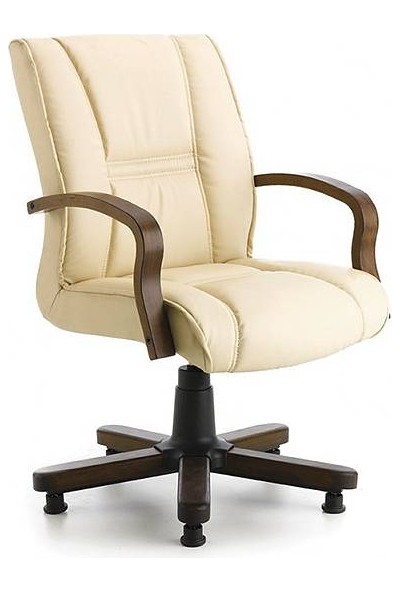 Safari Çalışma Koltuk