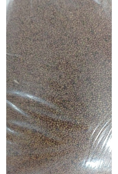 Osm Tohumculuk Osm Elçi Kaplamasız (Kapsız) Yonca Tohumu 1 kg Osm Tohumculuk Osm Elçi Kaplamasız (Kapsız) Yonca Tohumu 1 kg