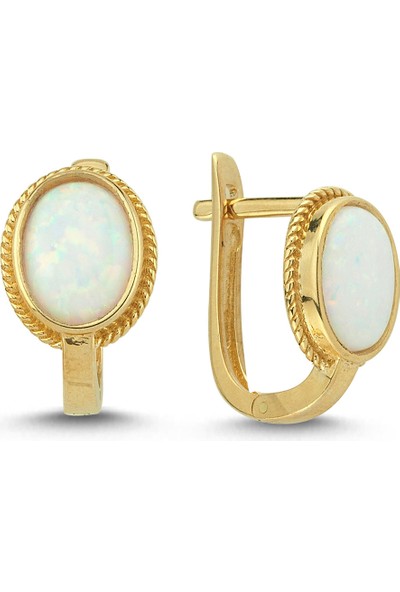 Pırlant Altın Küpe