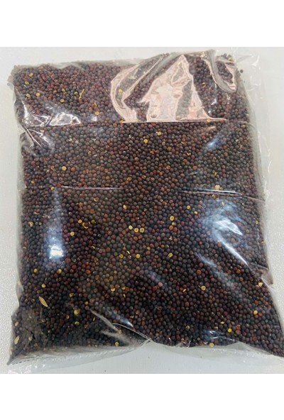 Osm Tohumculuk Lenox Ot Tipi Yem Şalgamı 1 kg Osm Tohumculuk Lenox Ot Tipi Yem Şalgamı 1 kg