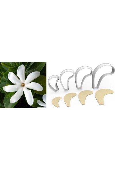 Butedo Gardenya Çiçek Yapım Kesici Set 4 Parça Butedo Gardenya Çiçek Yapım Kesici Set 4 Parça