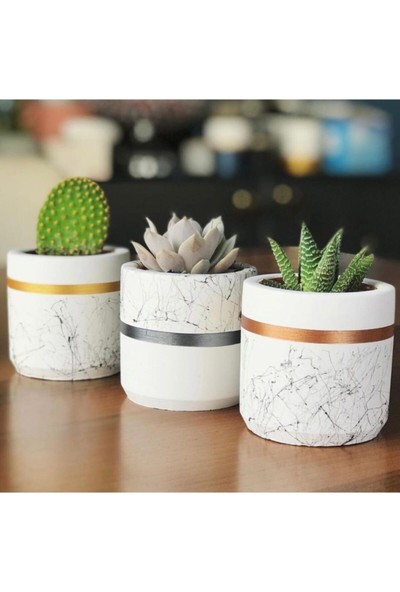 Big Craft Mermer Desen Silindir,geometrik Beton Saksılık Kaktüs ve Sukulentlik 3'lü Set Big Craft Mermer Desen Silindir,geometrik Beton Saksılık Kaktüs ve Sukulentlik 3'lü Set