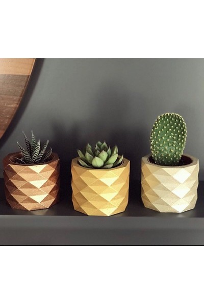 Big Craft Beton Saksı Saksılık Kaktüs ve Sukulentlik 3'lü Set Takım Big Craft Beton Saksı Saksılık Kaktüs ve Sukulentlik 3'lü Set Takım