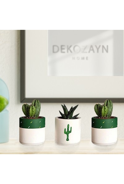 Bonopart Bitki Dahil Kaktüs Desenli Beton Saksı 3'lü Set- Küçük Boy Sukulent Bonopart Bitki Dahil Kaktüs Desenli Beton Saksı 3'lü Set- Küçük Boy Sukulent