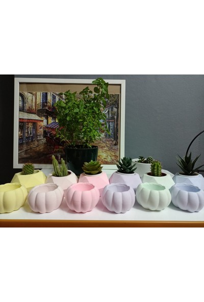 Dekozayn Home 12'li Sukulent ve Kaktüs Saksı Seti Dekozayn Home 12'li Sukulent ve Kaktüs Saksı Seti