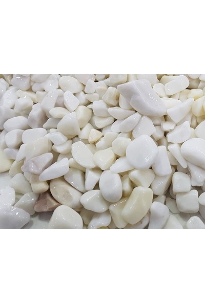 Ekodoğa Dere Taşı 4 kg 1,5-2,5 cm Karışık Renkli Çakıl Taşı Saksı Taşı Dolomit Taşı Akvaryum Teraryum Taşı Ekodoğa Dere Taşı 4 kg 1,5-2,5 cm Karışık Renkli Çakıl Taşı Saksı Taşı Dolomit Taşı Akvaryum Teraryum Taşı