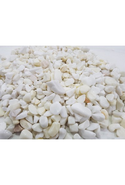 Ekodoğa Çakıl Taşı 3 kg 1,5-2,5 cm Renkli Taş Dolomit Taş Dekoratif Taş Bahçe Taşı Akvaryum Taşı Dere Taşı Ekodoğa Çakıl Taşı 3 kg 1,5-2,5 cm Renkli Taş Dolomit Taş Dekoratif Taş Bahçe Taşı Akvaryum Taşı Dere Taşı