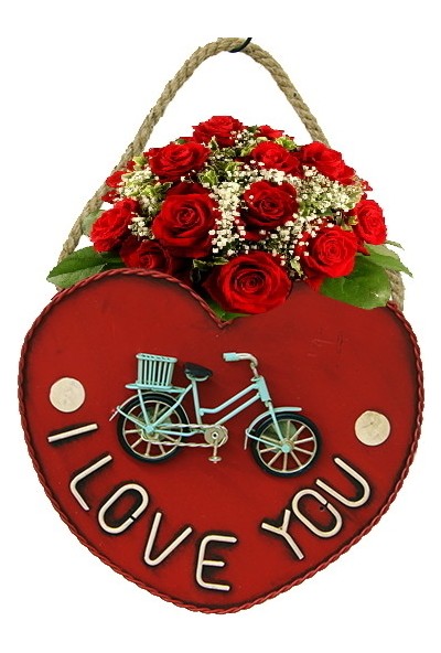 Okuyucu Dekoratif Metal Saksı Okuyucu Dekoratif Metal Saksı