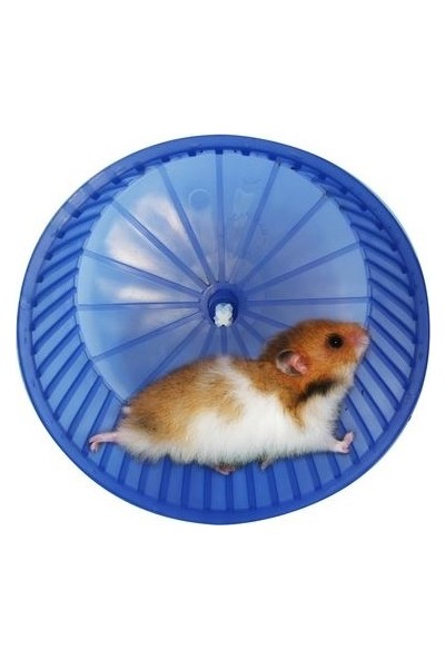 Canlipetshop Hamster Çarkı Büyük Boy 17*8 cm Canlipetshop Hamster Çarkı Büyük Boy 17*8 cm