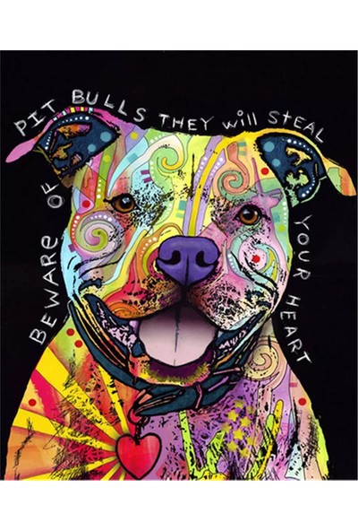 Fg Bulldog Elmas Boyama Kit Diamond Painting Kit 30 x 40 cm