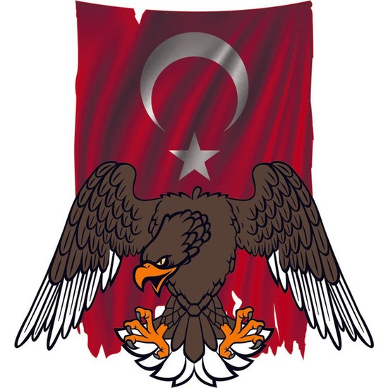 TSC Kartal Türk Bayrağı Sticker Yapıştırma 18CM Fiyatı