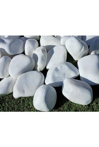 Ekodoğa Dere Taşı 1 kg 4-6 cm Çakıl Taşı Beyaz Dolomit Taşı Saksı Taşı Akvaryum Teraryum Taşı Bahçe Taşı Ekodoğa Dere Taşı 1 kg 4-6 cm Çakıl Taşı Beyaz Dolomit Taşı Saksı Taşı Akvaryum Teraryum Taşı Bahçe Taşı