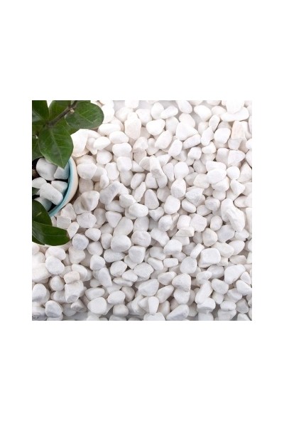 Ekodoğa Dolomit Taş 10 kg 1-2 cm Beyaz Dolomit Taş Saksı Dibi Dekoratif Taş Teraryum Taşı Bahçe Taşı Ekodoğa Dolomit Taş 10 kg 1-2 cm Beyaz Dolomit Taş Saksı Dibi Dekoratif Taş Teraryum Taşı Bahçe Taşı