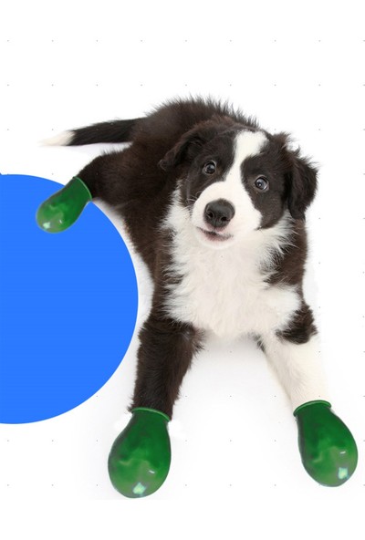 Alphadog Yeşil Köpek Galoşu 6 Adet Alphadog Yeşil Köpek Galoşu 6 Adet