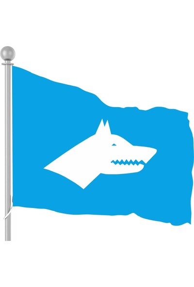 Sb Sistem Bayrak Göktürk Bayrağı Gönder Bayrağı 70X105CM