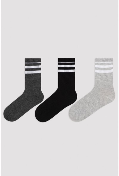 Penti Çok Renkli Erkek Çocuk B.basic Striped 3lü Soket Çorap