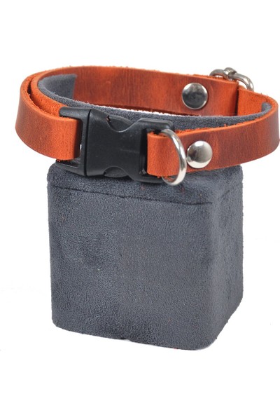 X-Perk Hakiki Deri Kedi Köpek Boyun Tasması X-Perk Hakiki Deri Kedi Köpek Boyun Tasması