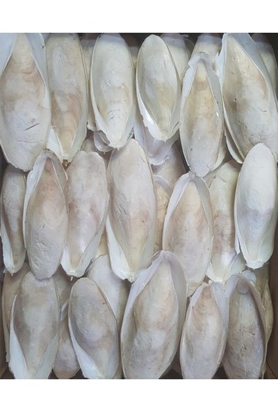 Çotanaklar Kafes Kalamar Kemiği 250 gr Çotanaklar Kafes Kalamar Kemiği 250 gr