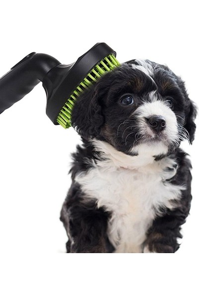 Piyop Süpürgeye Takılan Kedi Köpek Tarama - Tüy Alma Fırçası Piyop Süpürgeye Takılan Kedi Köpek Tarama - Tüy Alma Fırçası