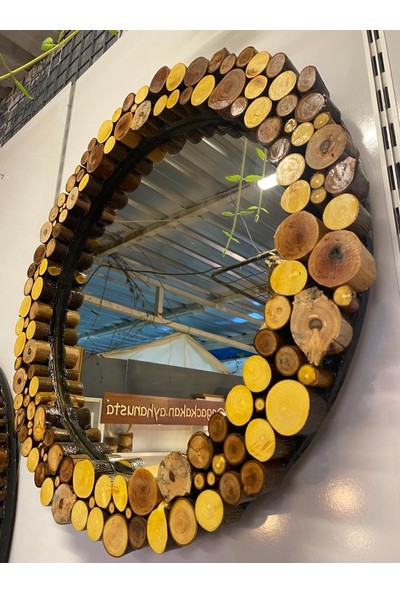 Ağaçkakan Ağaç Ayna Ağaçkakan Ağaç Ayna